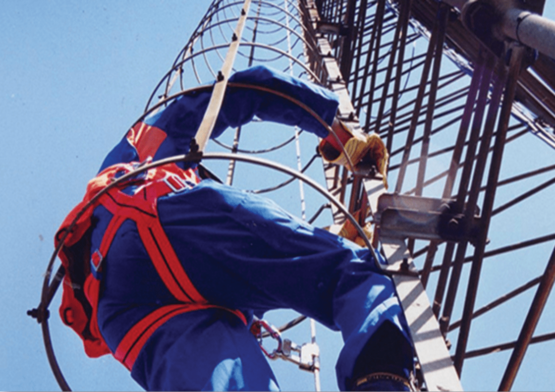 Fixed Ladder With Life Line and Cage - mtandtshrilanka